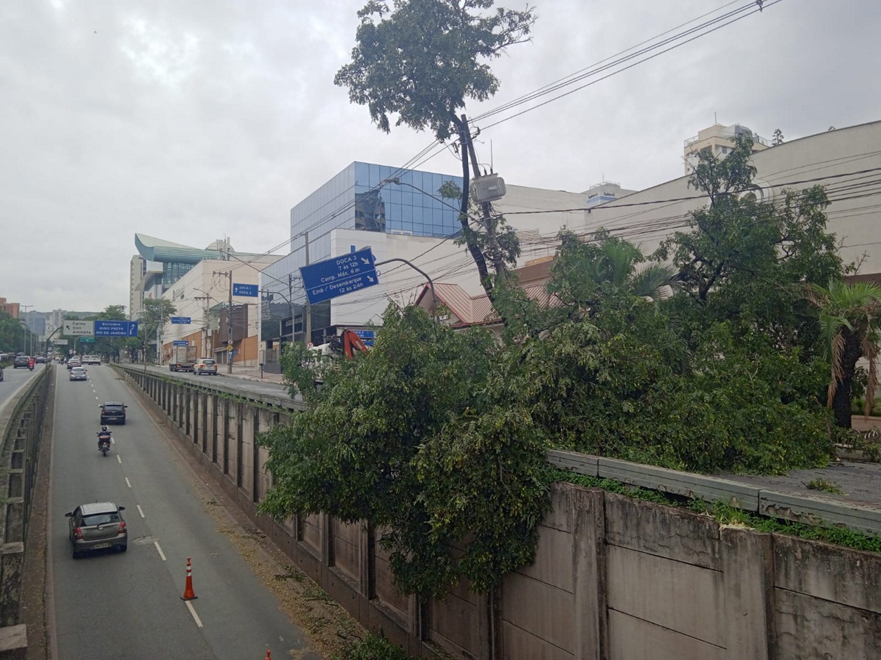 Temporal derruba árvore na Savassi e fecha marginal