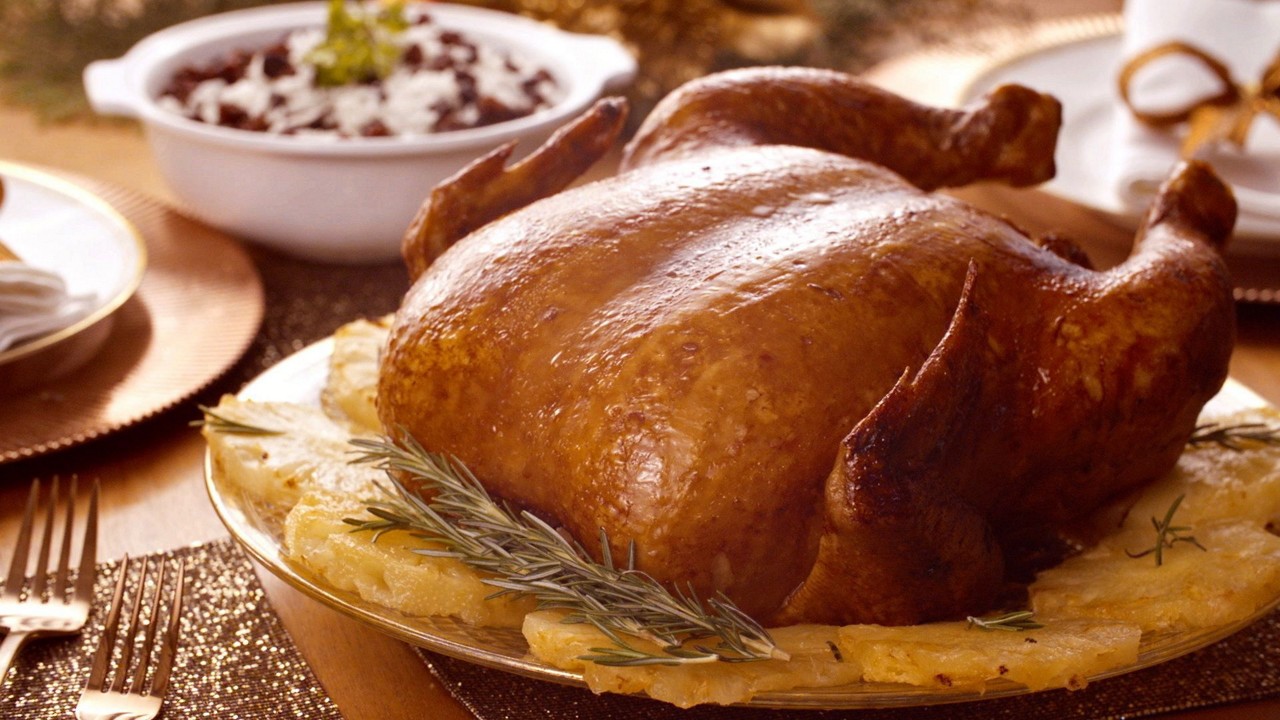 O que é chester? Já viu um vivo? Saiba tudo sobre ele